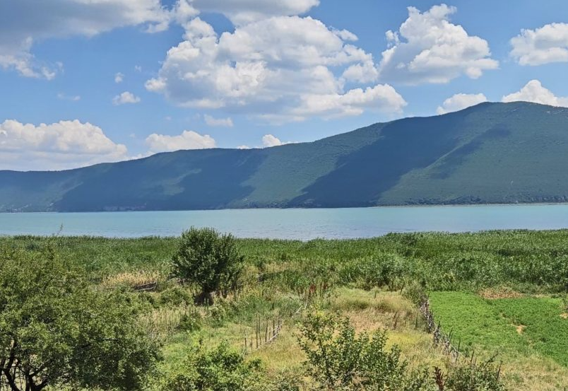Liqeni i Ohrit dhe ai i Prespës, të mbytur nga kimikatet e bujqësisë ...