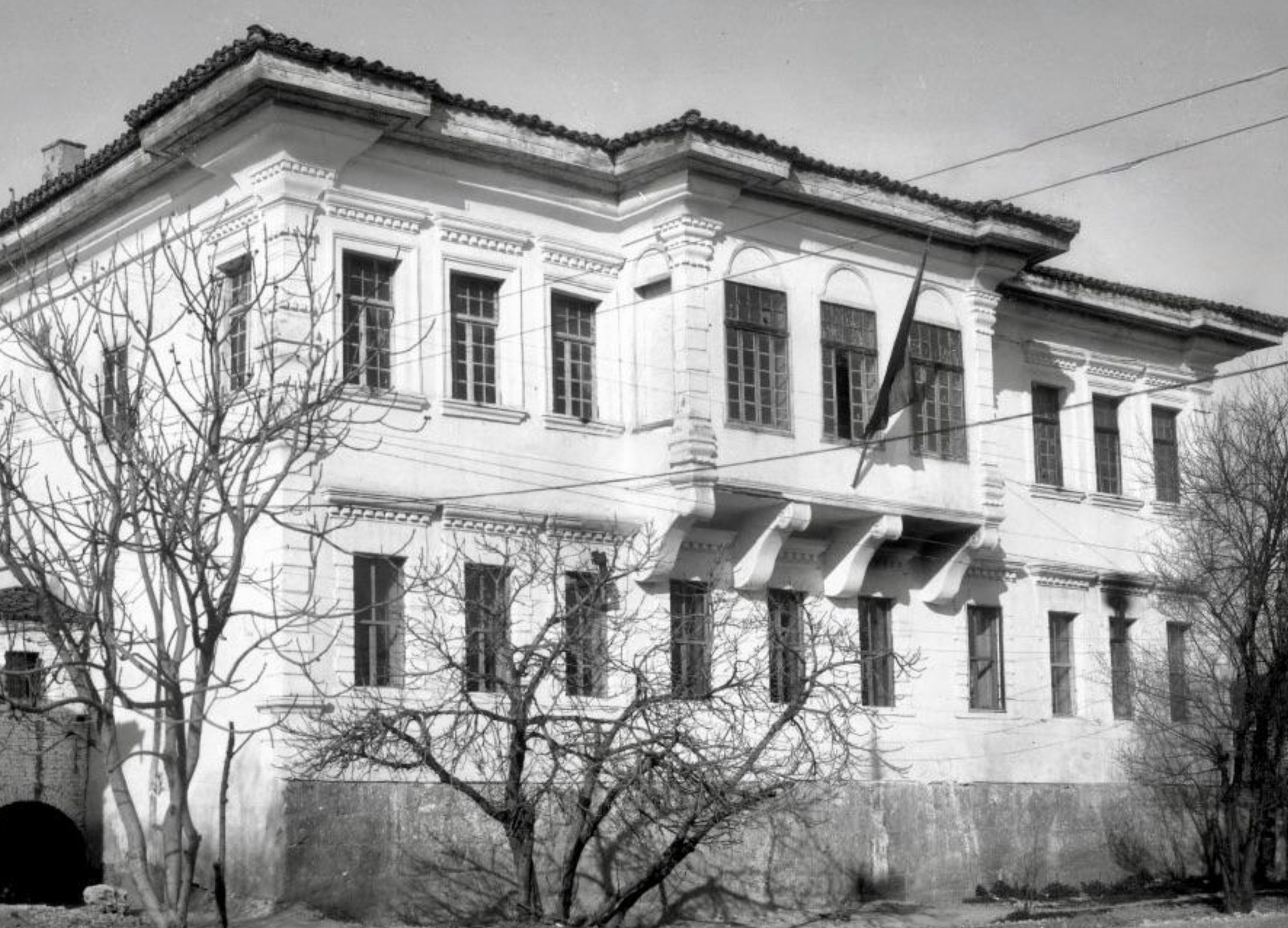 Shqipëria po lind si Amerika, shkrimi i gazetarit për Kuvendin e parë ...